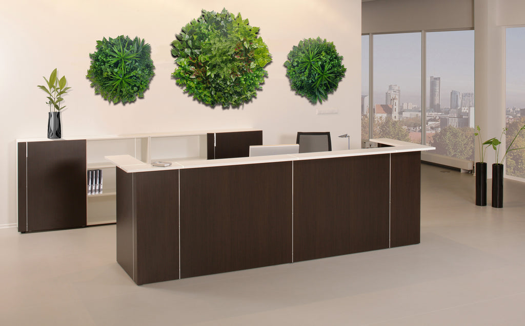 Bring Life to Your Office Desk with Realistic Artificial Plants in Aus ...