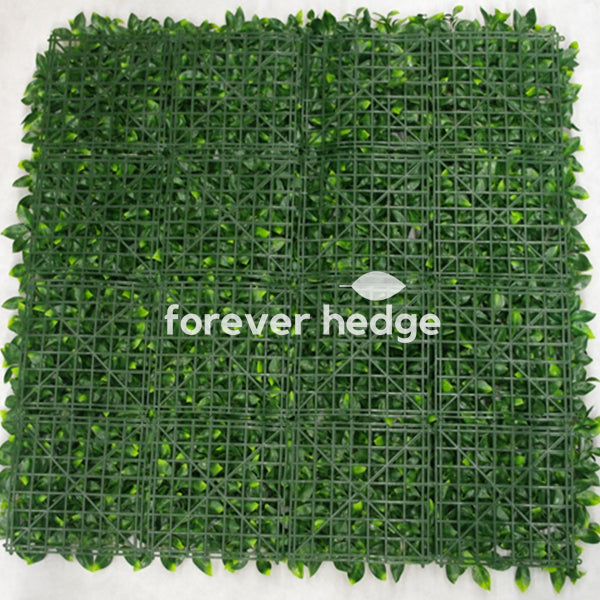 Artificial Jasmine Leaf Screen Panels 1m x 1m – Forever Hedge