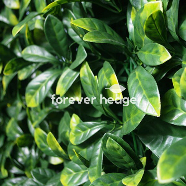 Artificial Laurel Leaf Screen Panels 1m x 1m – Forever Hedge