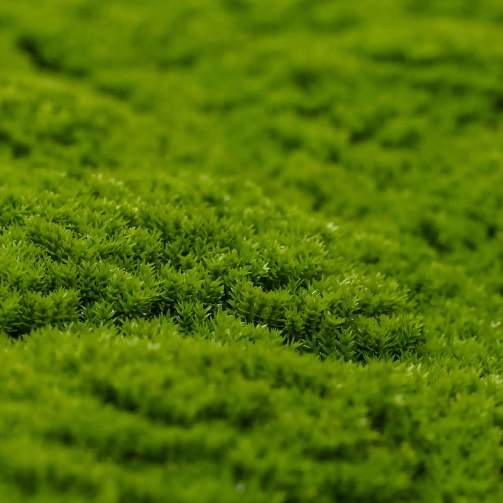 Fresh Natural Green Artificial Moss Vertical Garden / Green Wall UV Re ...