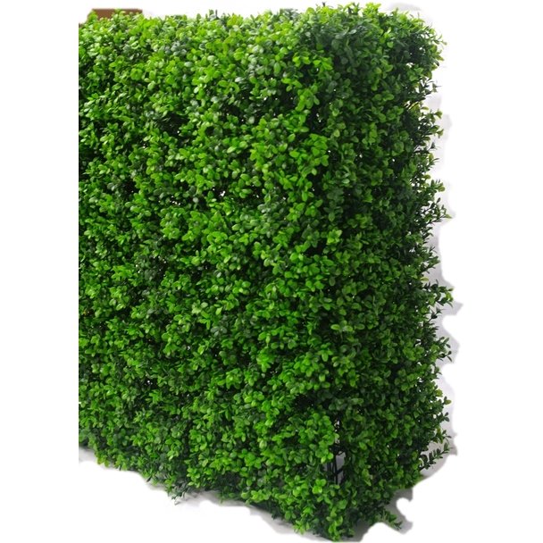 Portable Buxus Artificial Hedge UV Resistant 75cm x 75cm – Forever Hedge