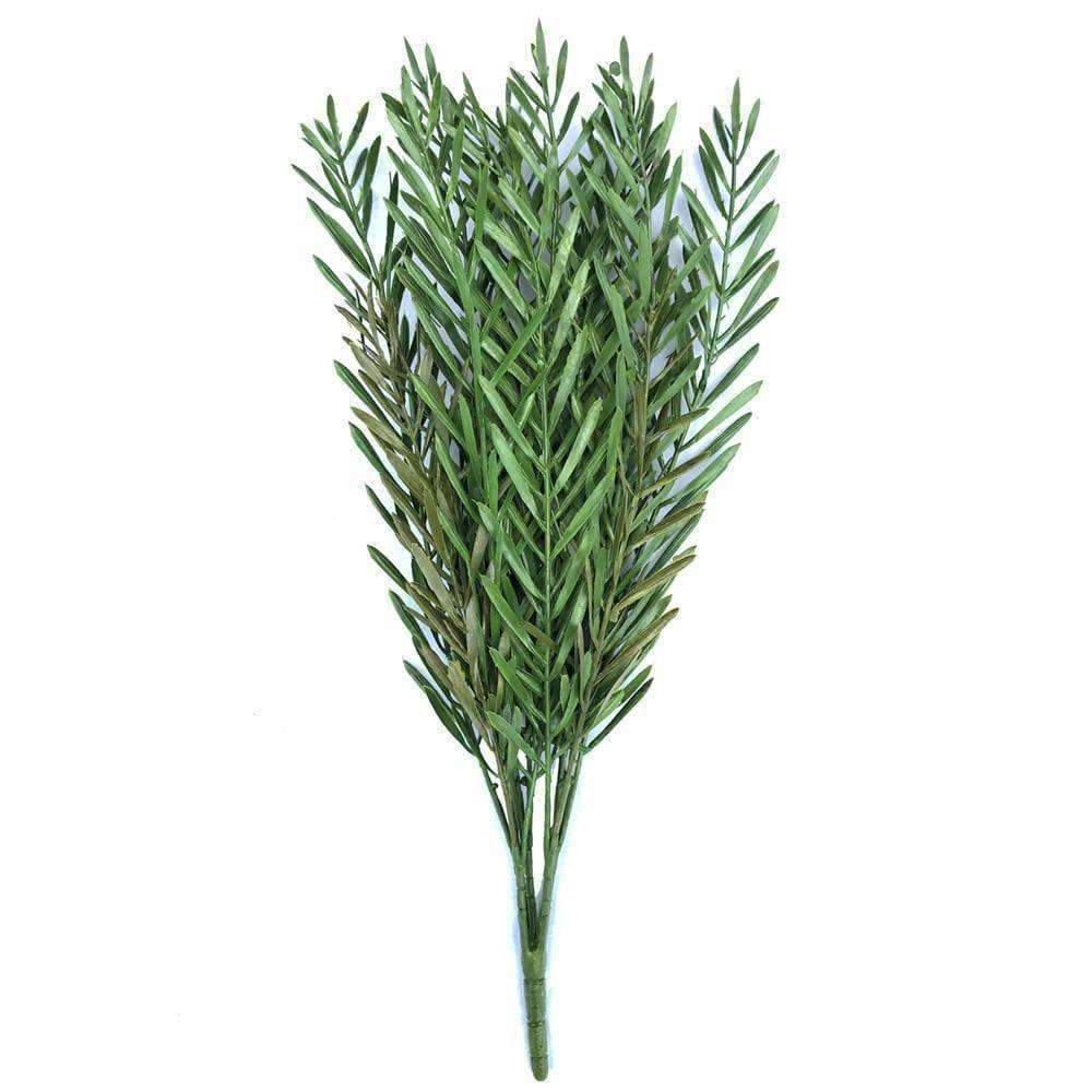 UV Native Tea Tree Stem - 45cm – Forever Hedge